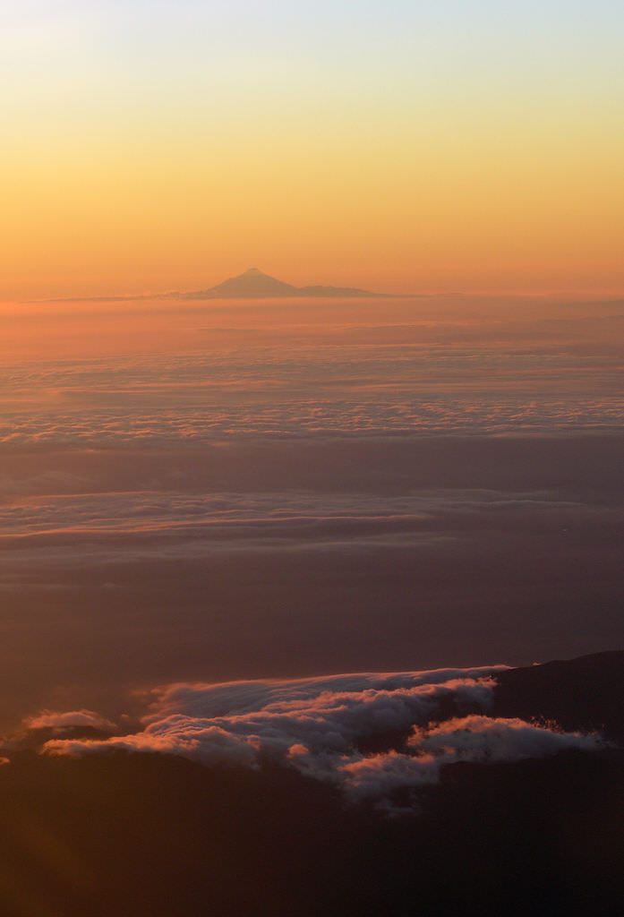 Thirteen waves: xiii. | Poems in the wild—Rachel McAlpine