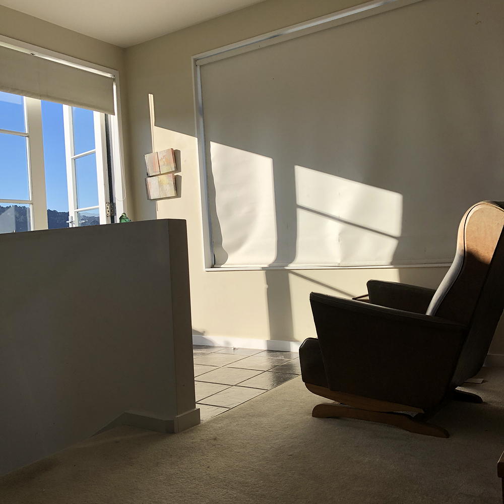 paint me a shadow | Poems in the wild—Rachel McAlpine